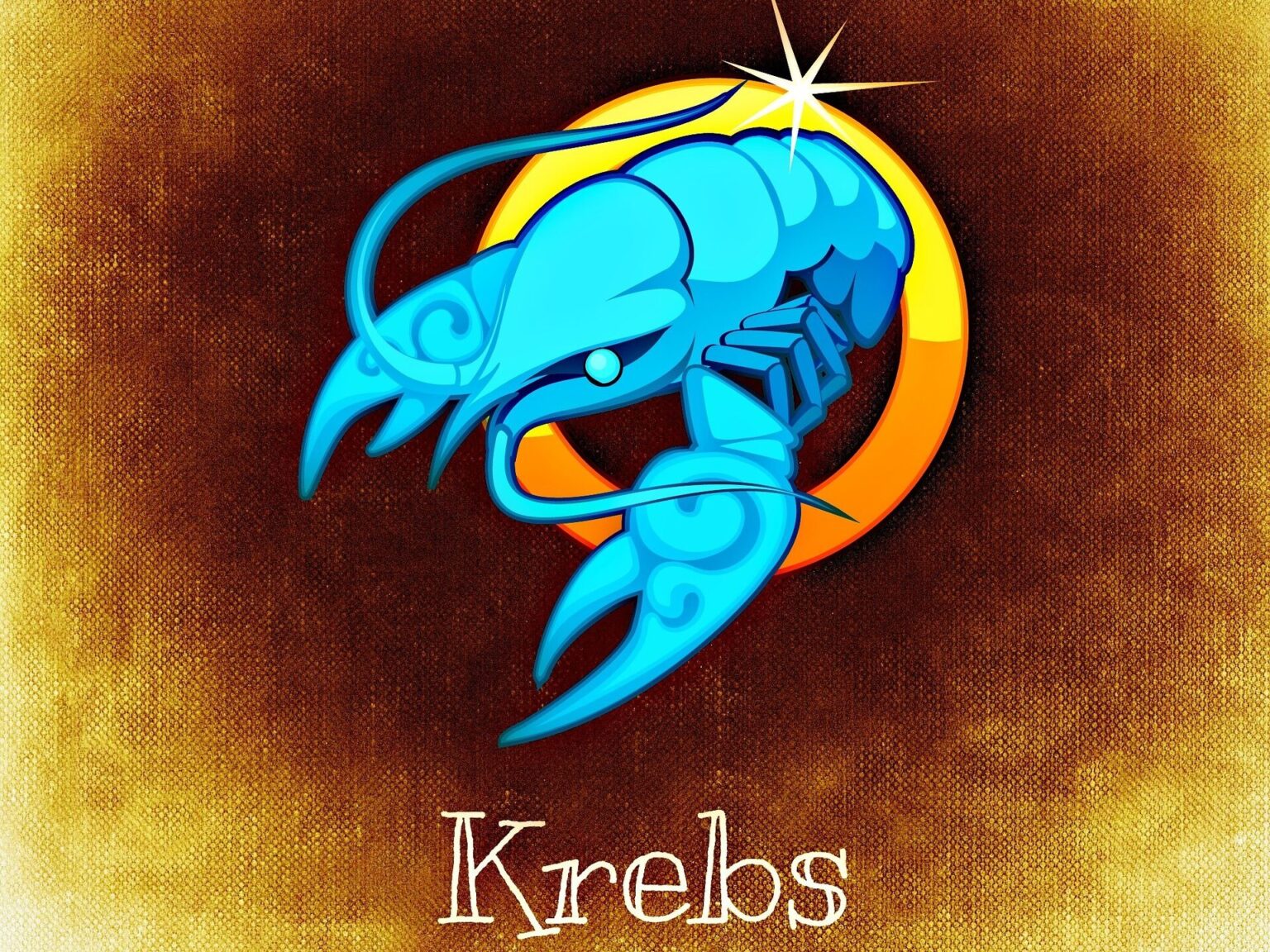 Sternzeichen: Die wichtige Bedeutung hinter den 12 Zeichen