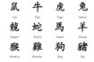 Das Chinesische Horoskop: 12 Tierzeichen perfekt erklärt
