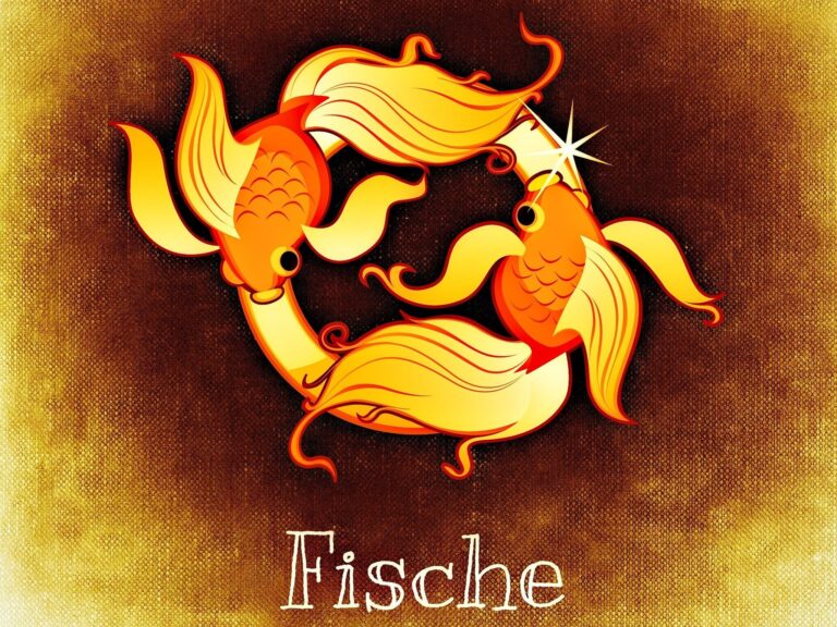 Sternzeichen: Die wichtige Bedeutung hinter den 12 Zeichen