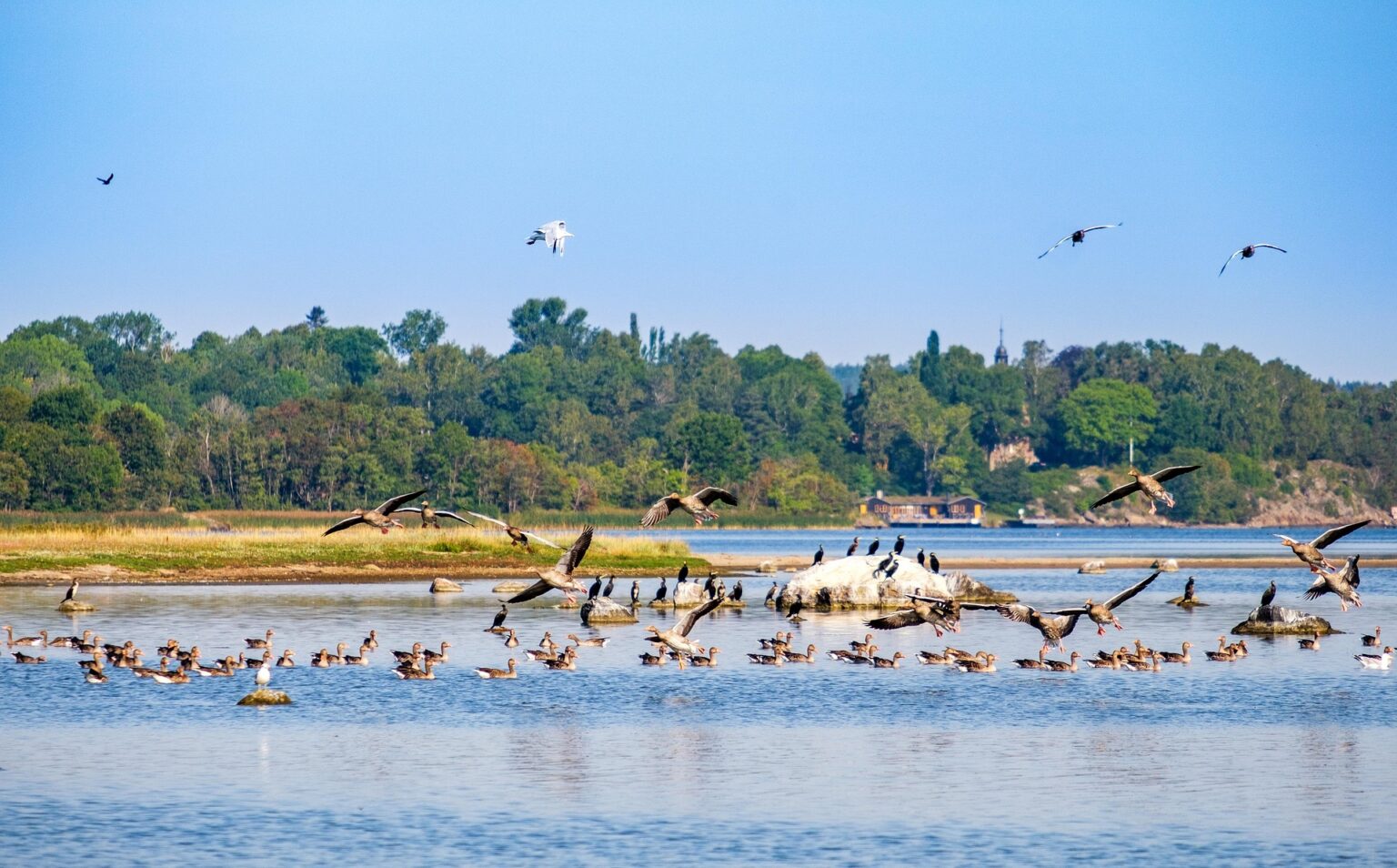 Rizz Sprüche die knallen: Die besten 69 als Liste